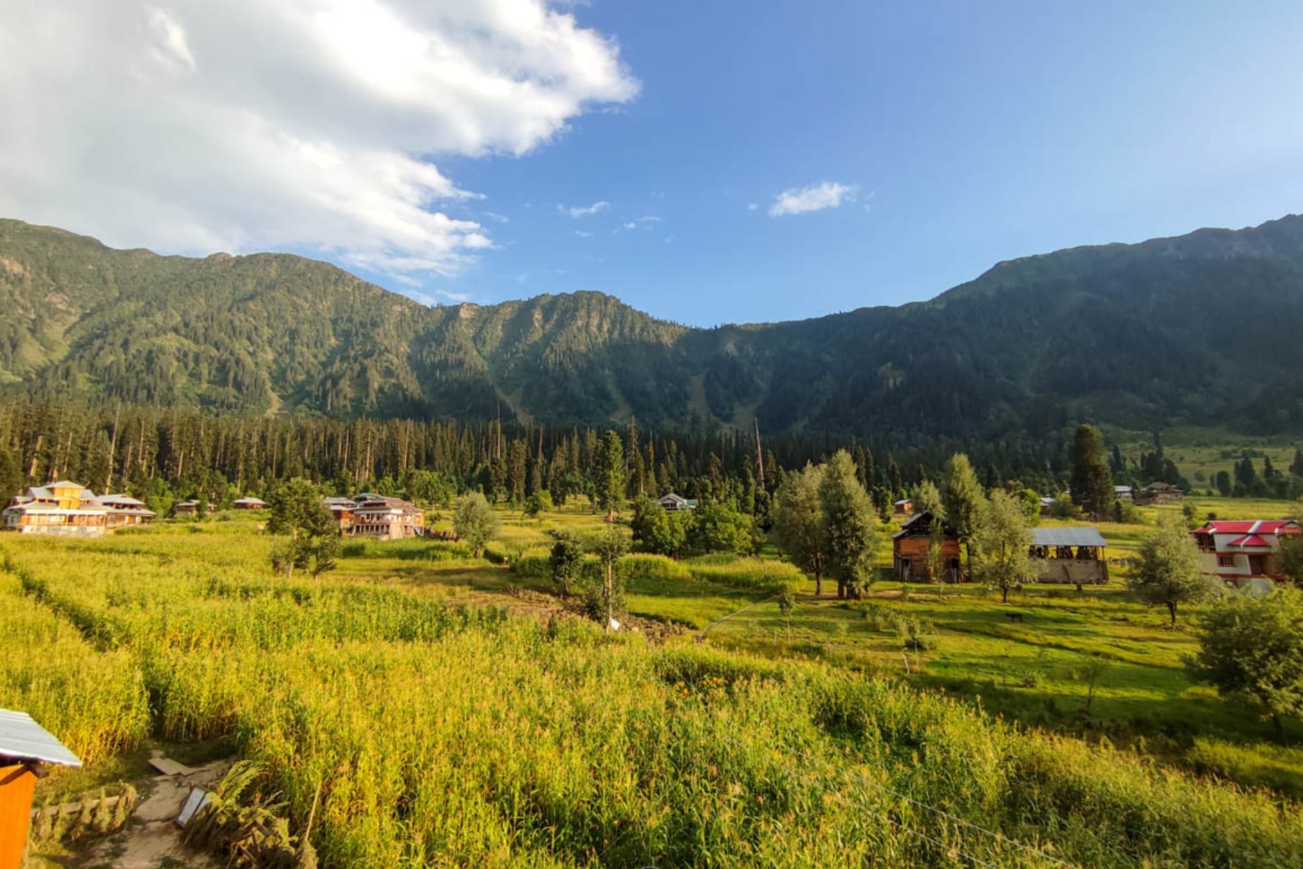 About Pakistan - Nature Explorer Tours