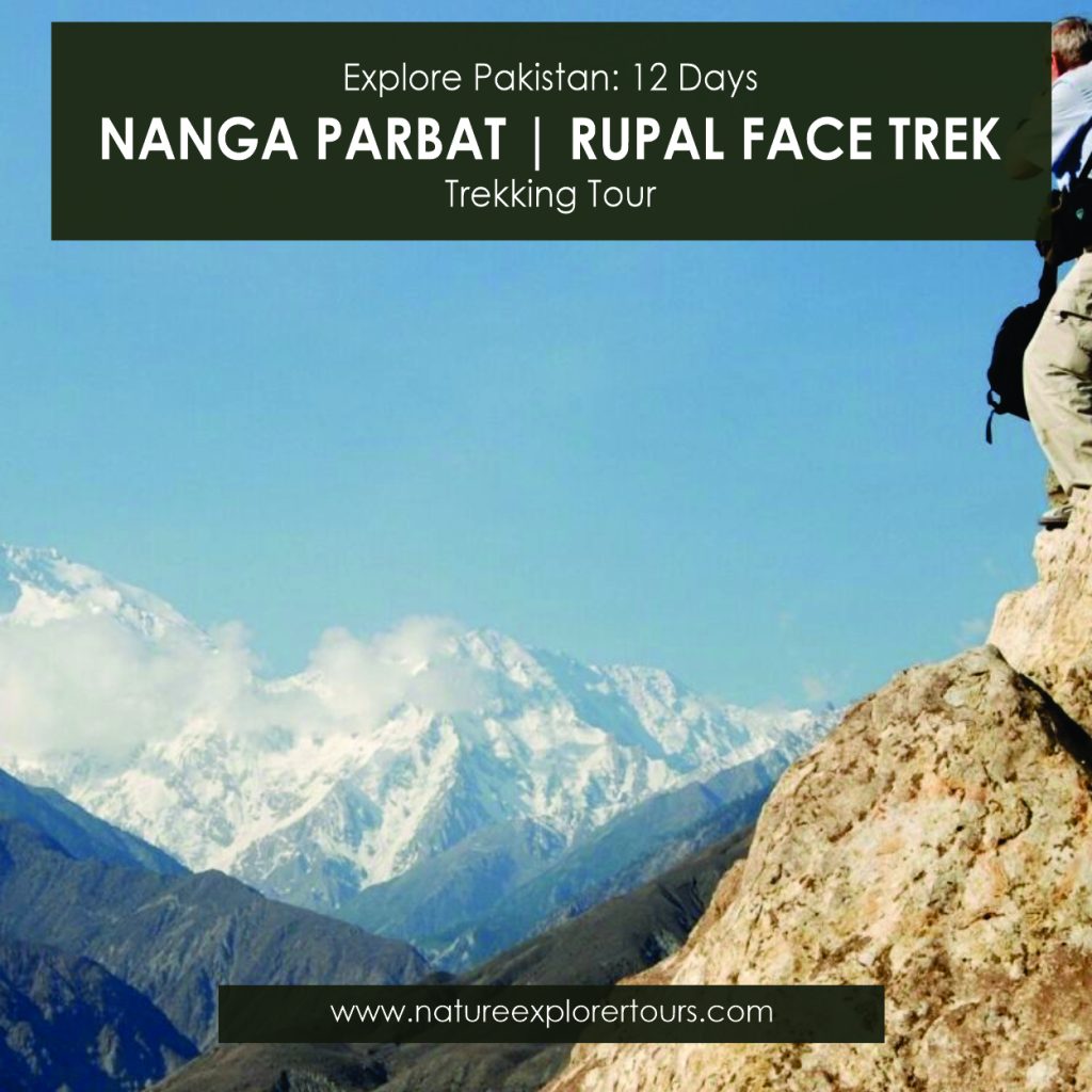 Nanga Parbat Rupal Face Trek - Nature Explorer Tours